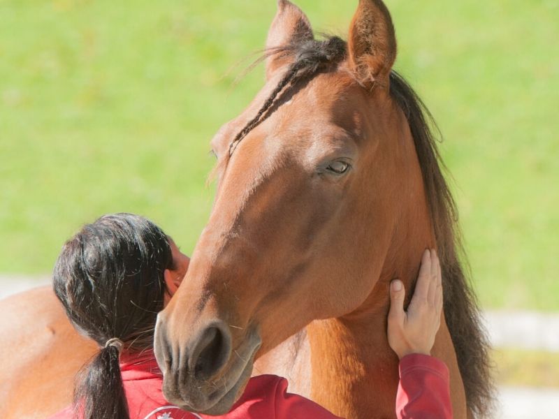 Vom Respekt vorm Pferd und mentaler Verbundenheit | Sandra Fencl