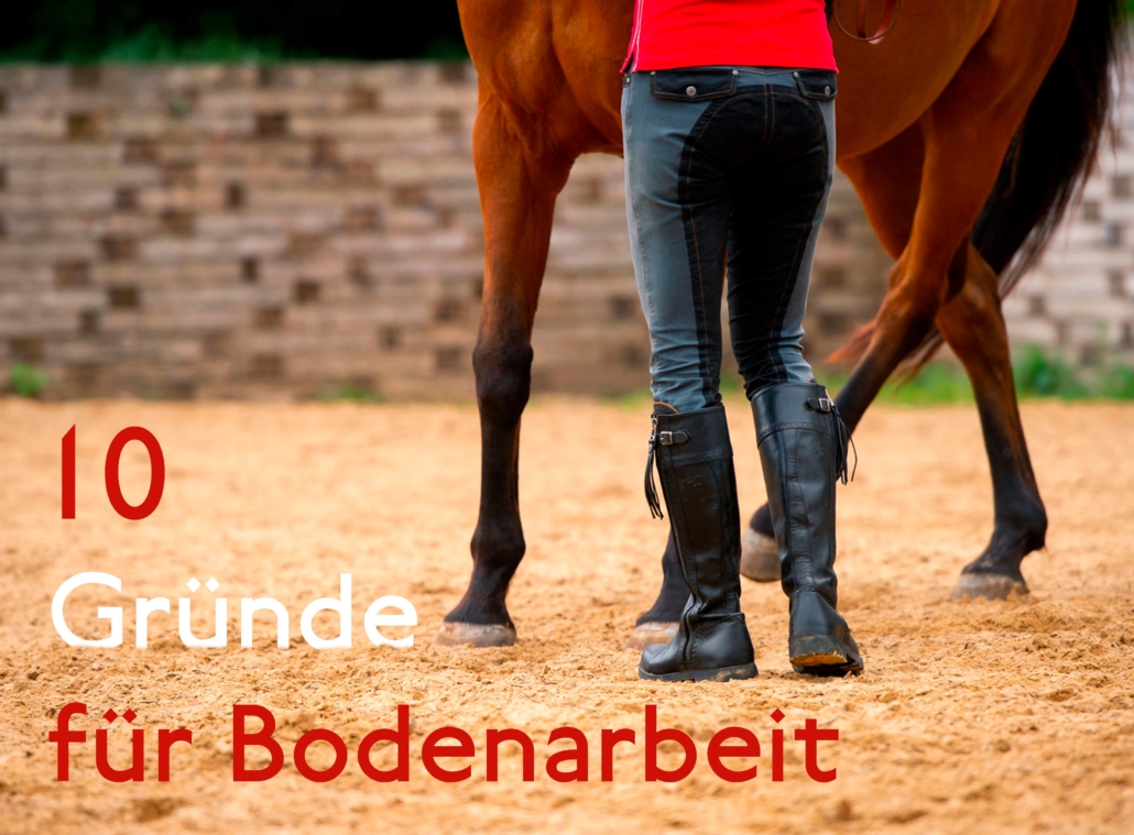 10 Gründe warum Bodenarbeit so wichtig ist - Sandra Fencl