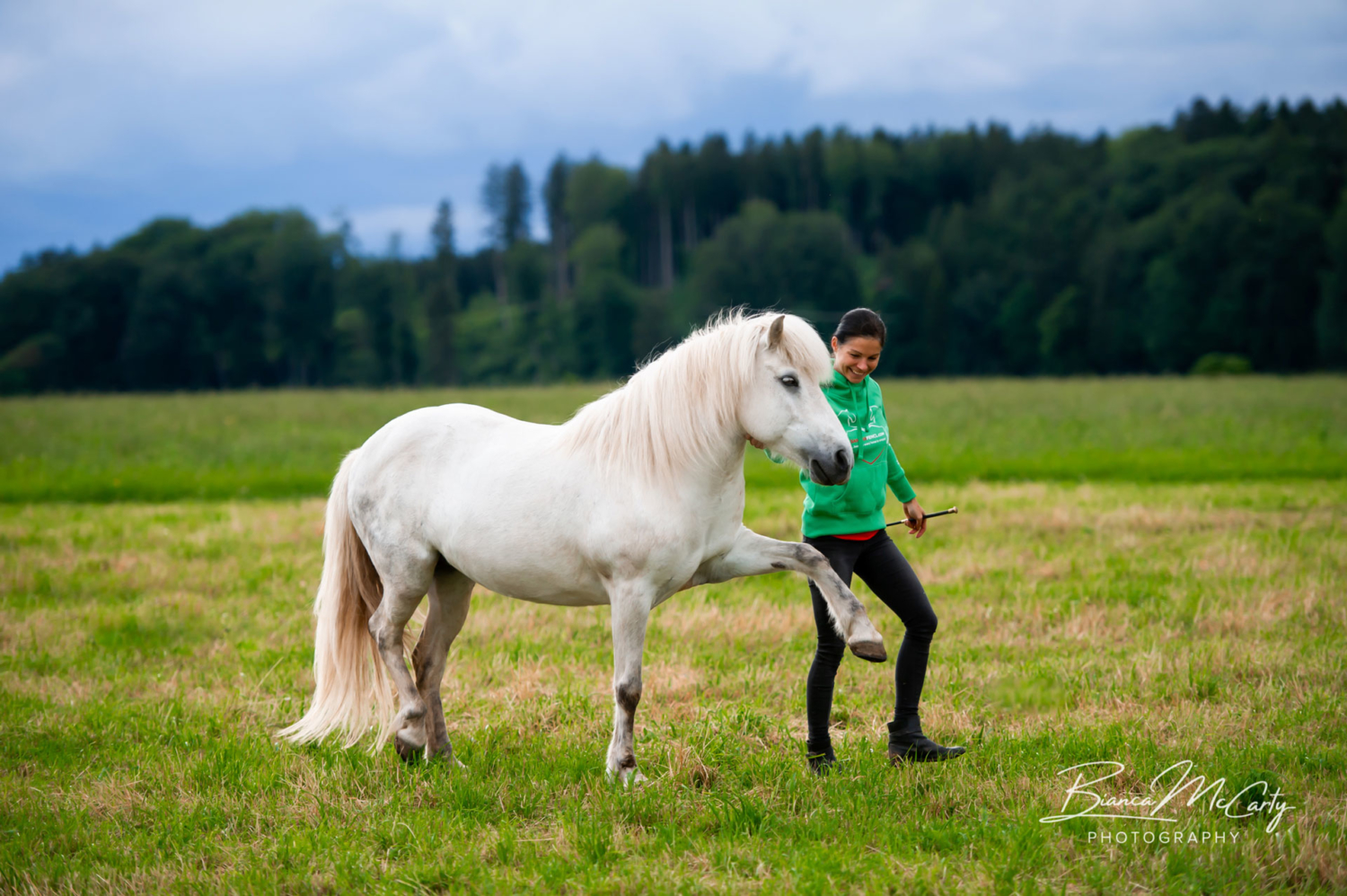 10 Gründe warum Bodenarbeit so wichtig ist - Sandra Fencl