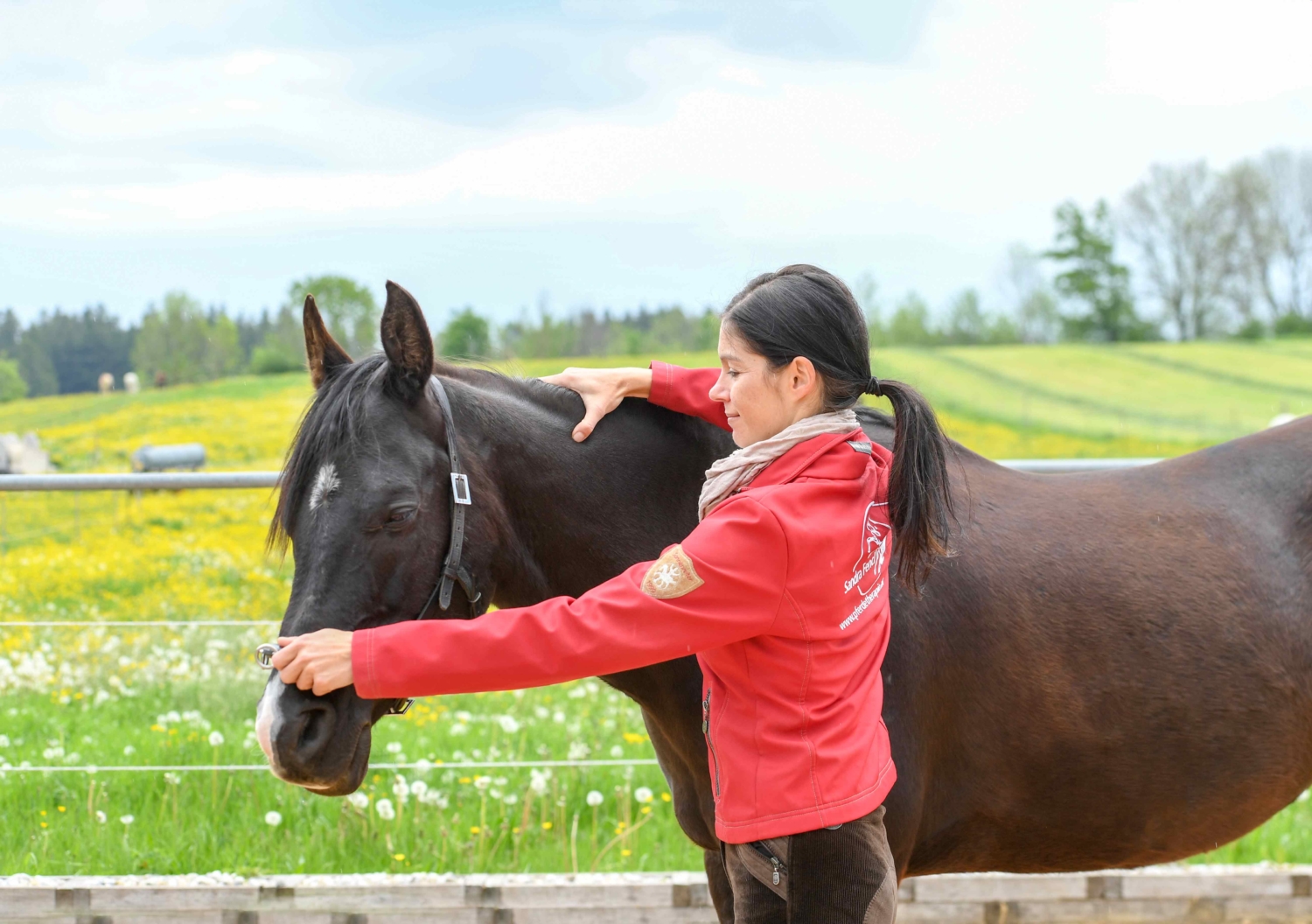 Verworfenes Genick & Probleme bei der Stellung beim Pferd – woher kommt ...